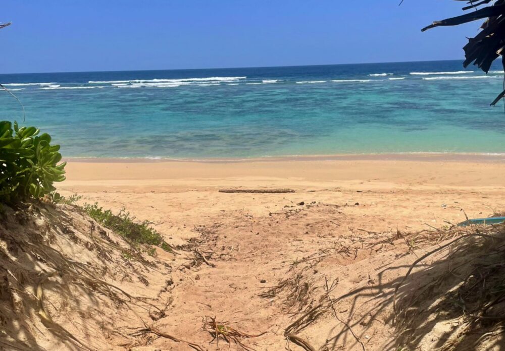 Peace Beach | Beautiful Beach in Kouri Island - Okinawa Bookmark